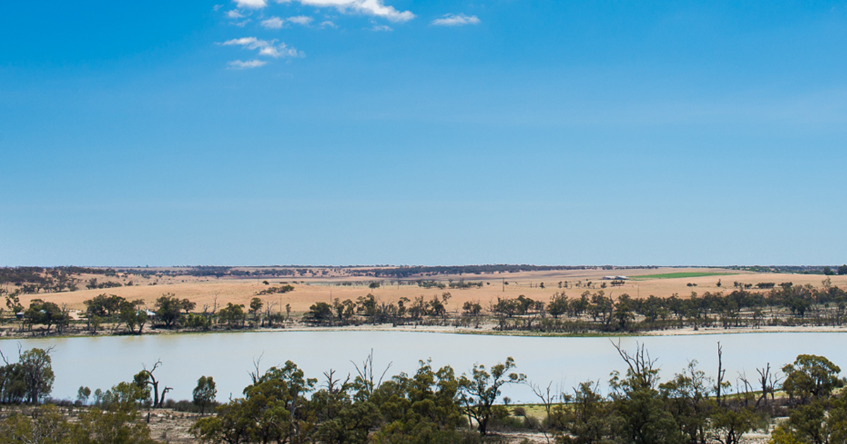 Murraylands Roadtrip – SALA - South Australian Living Artists Festival